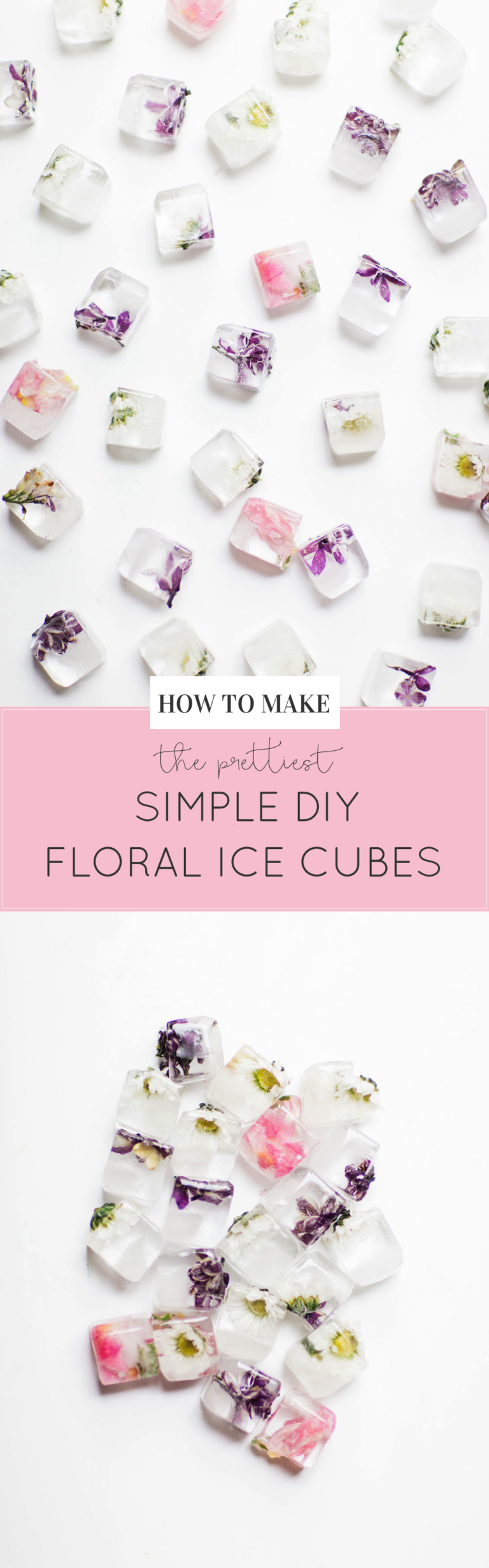 How to Make Floral Ice Cubes - Glitter, Inc.